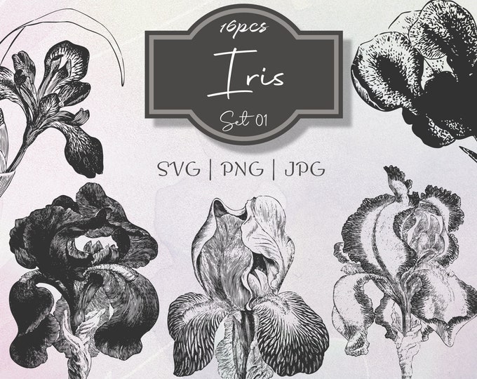 Iris Line Art Black and White Bundle 2 48 Digital Line Art Svg-png-jpg ...