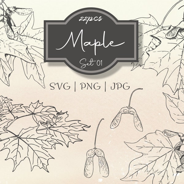 Maple Leaf Line Art - Etsy