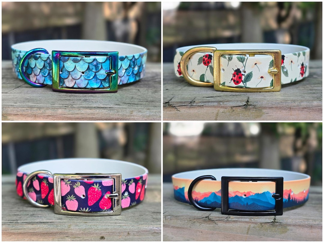 1" UV Print Biothane Collar - Etsy