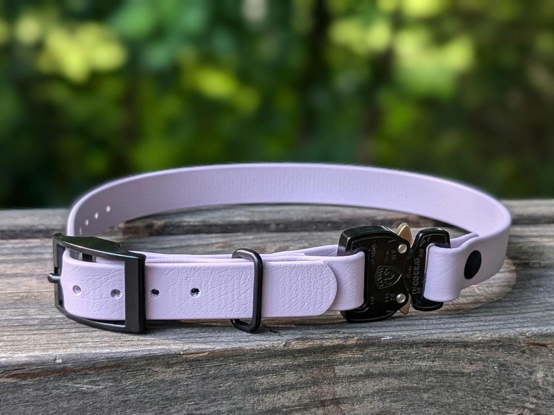 3/4" Cobra Biothane® E-collar Strap - Etsy