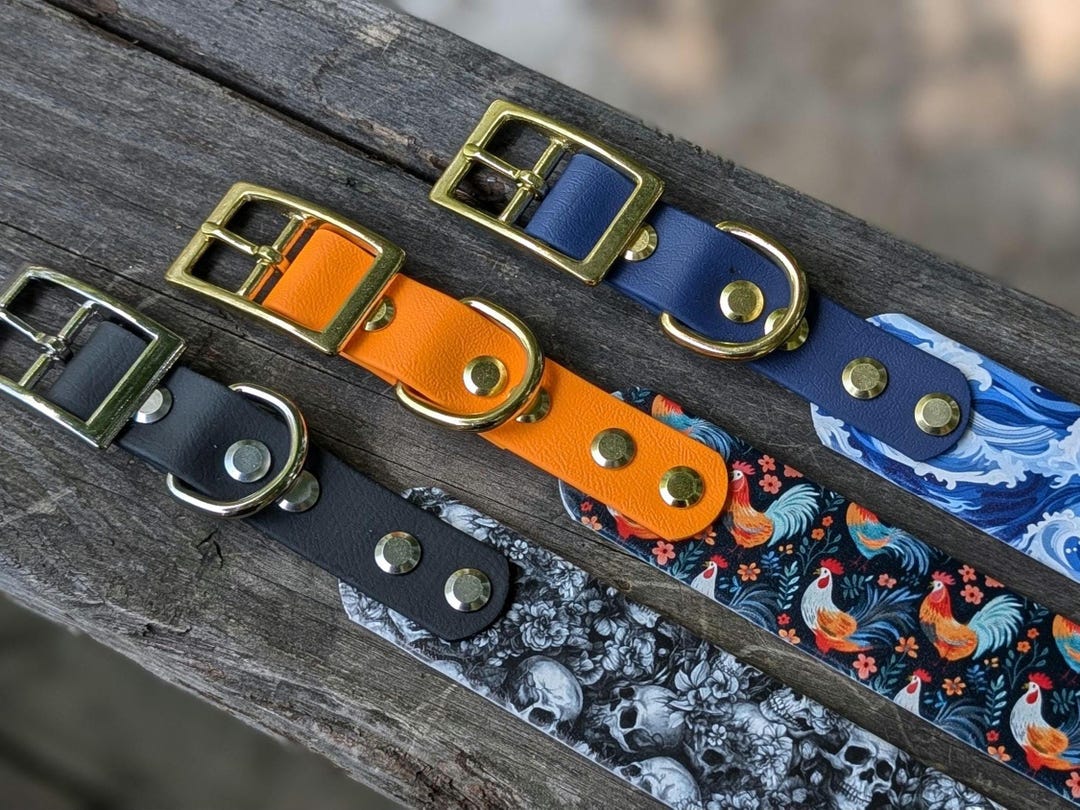1.5" UV Print Tapered Biothane Buckle Collar - Etsy