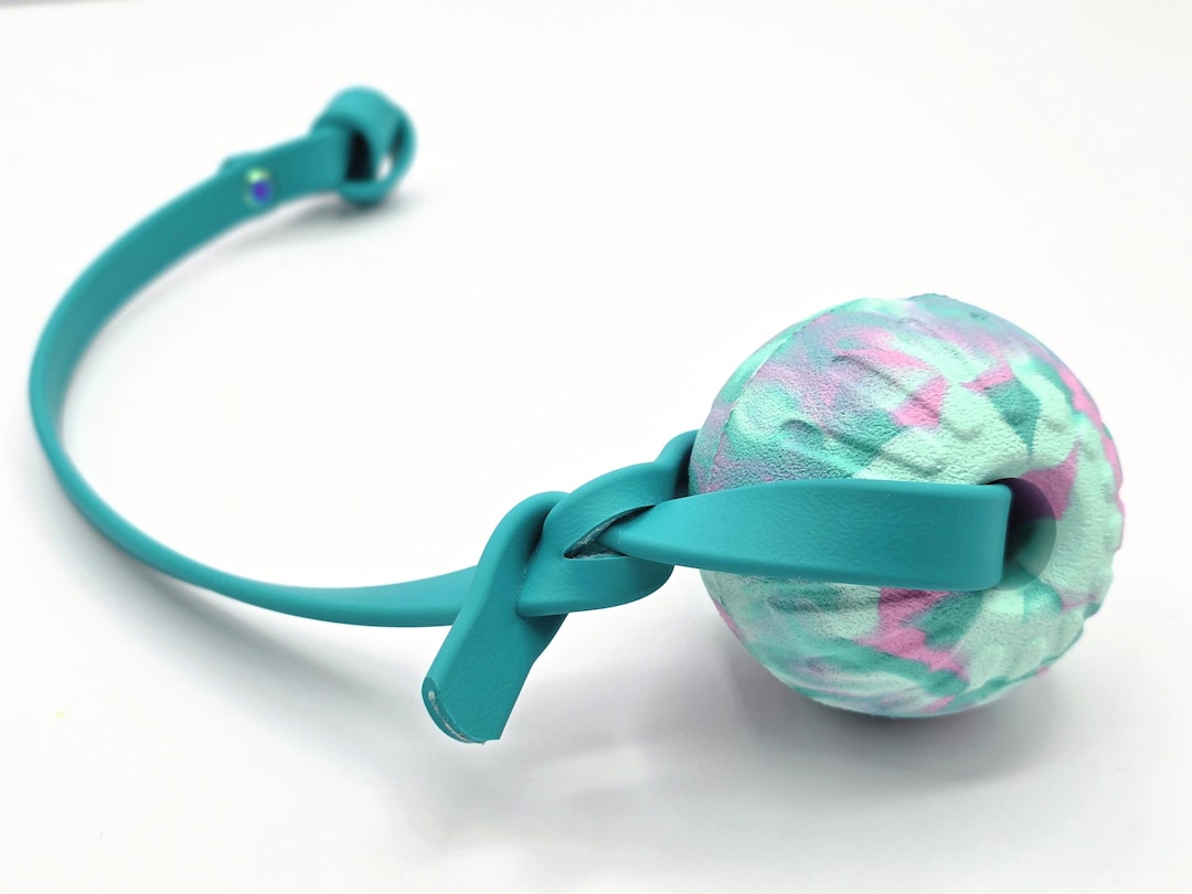 EVA Foam Reward Ball With Knotted Weave Biothane Strap - Etsy