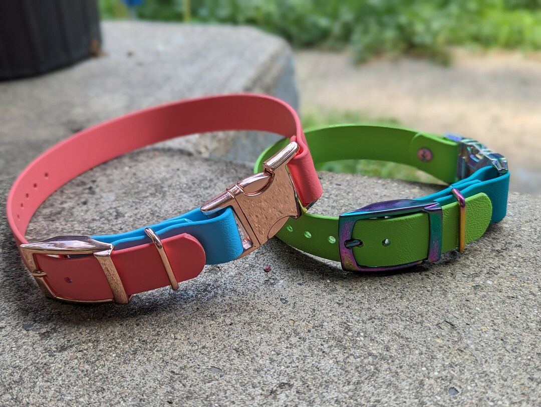 1" E-collar Strap Biothane® - Etsy