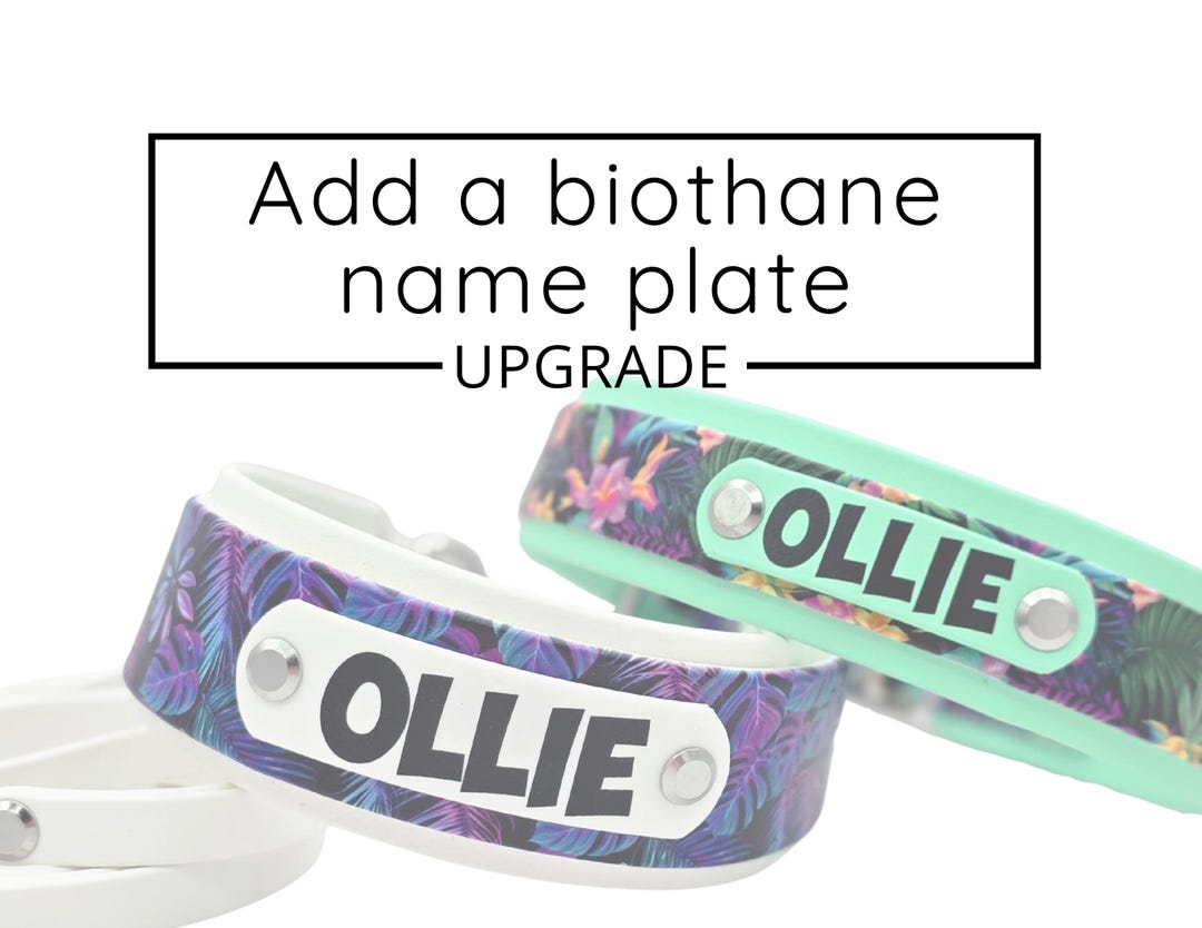 ADD a Name Plate Upgrade - Etsy
