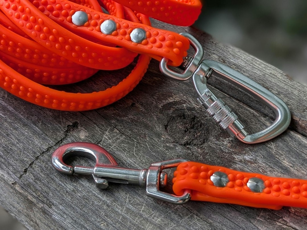 Grippy Biothane Dog Leash - Etsy