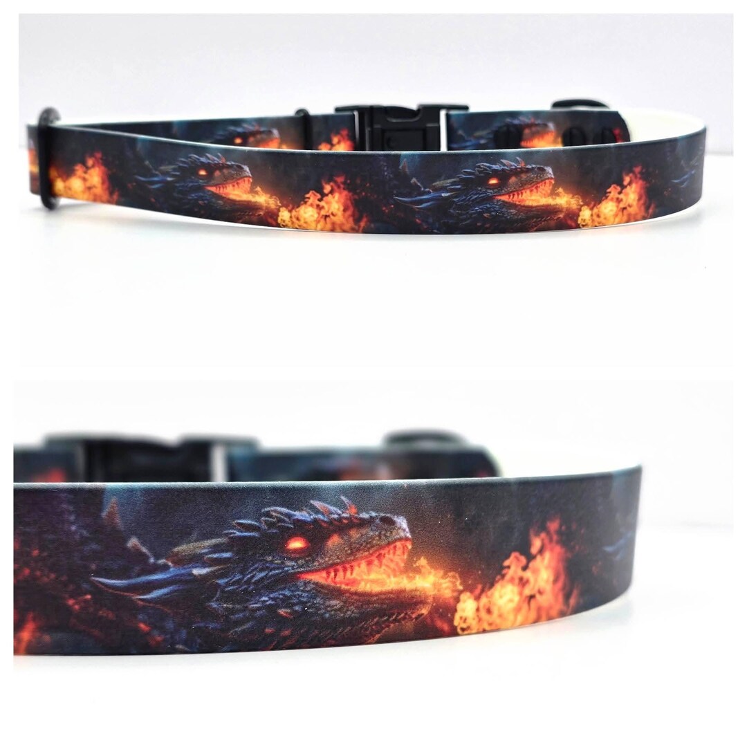 15.5 - 24.5" Dragon Quick Release Biothane Collar - Etsy