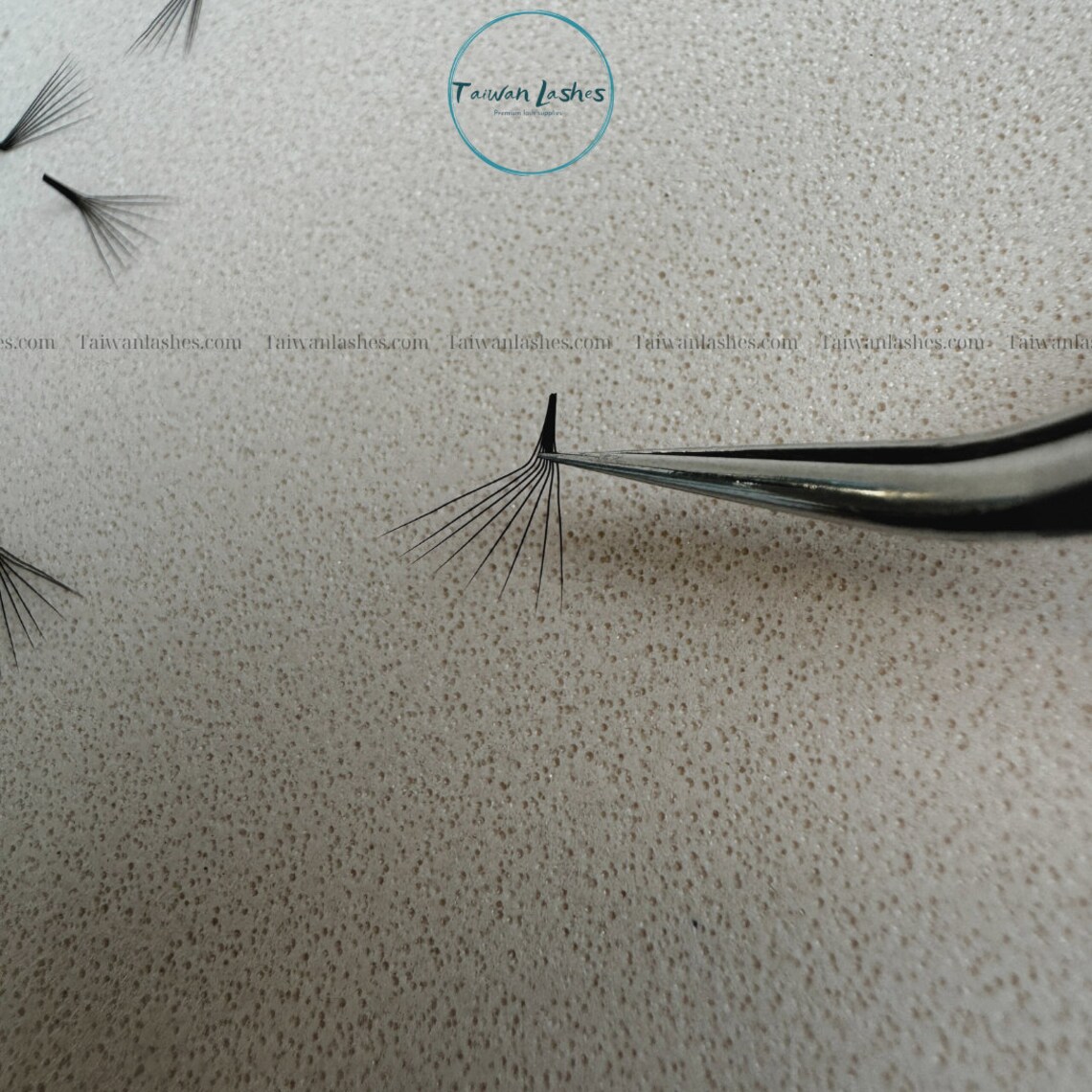 L Curl 8D Volume Lashes, Achieve the Perfect Fox Eyes, Cat's Eye, and ...