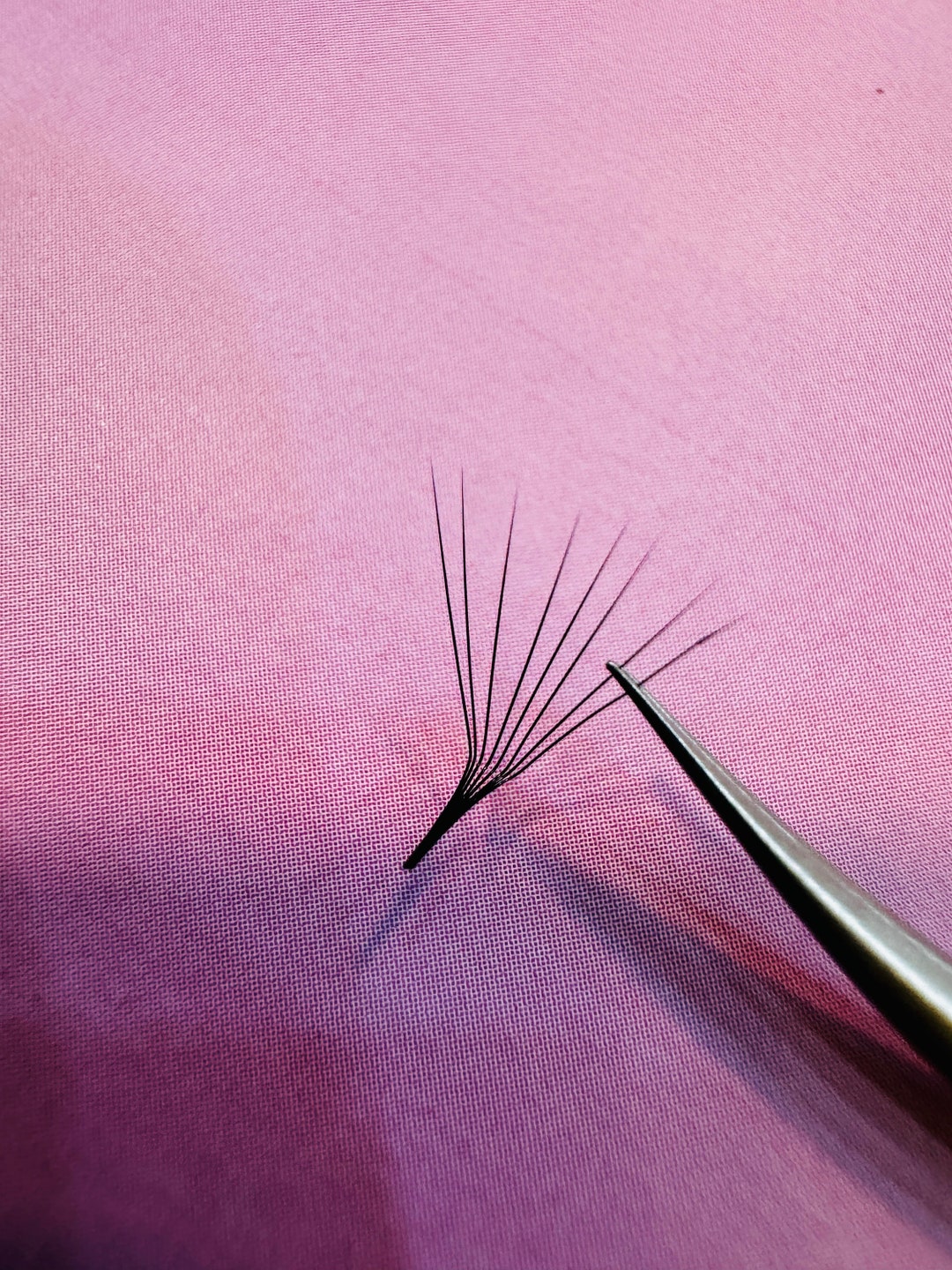 L Curl 8D Volume Lashes, Achieve the Perfect Fox Eyes, Cat's Eye, and ...