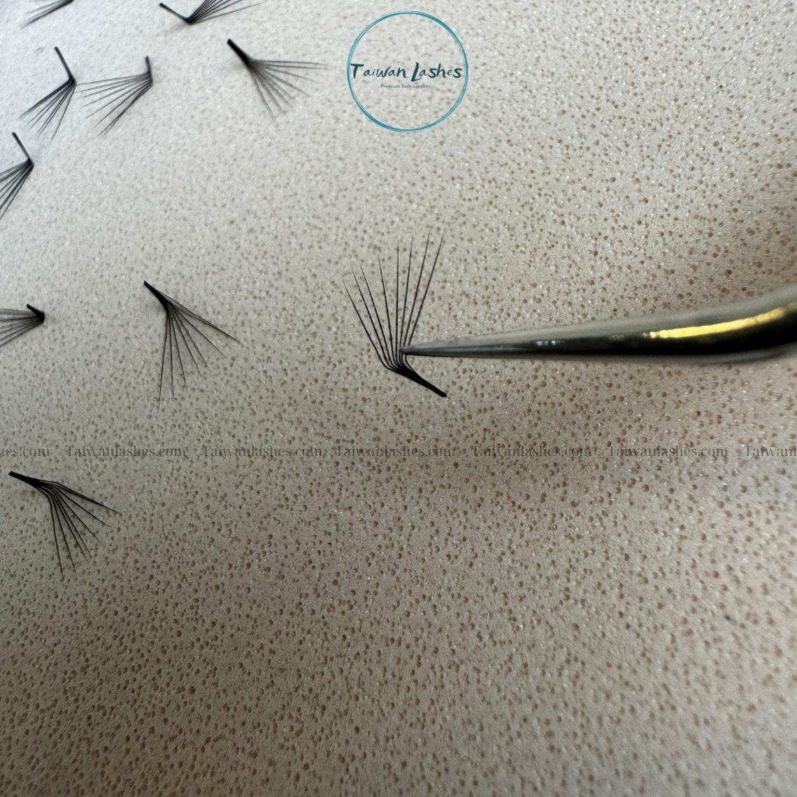 L Curl 8D Volume Lashes, Achieve the Perfect Fox Eyes, Cat's Eye, and ...