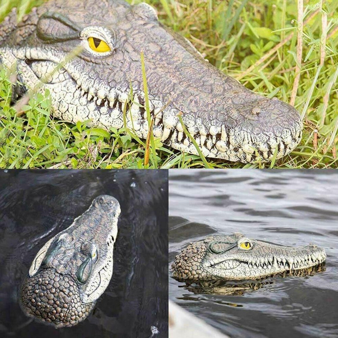 Floating Crocodile Alligator Head Pool Pond Garden - Etsy