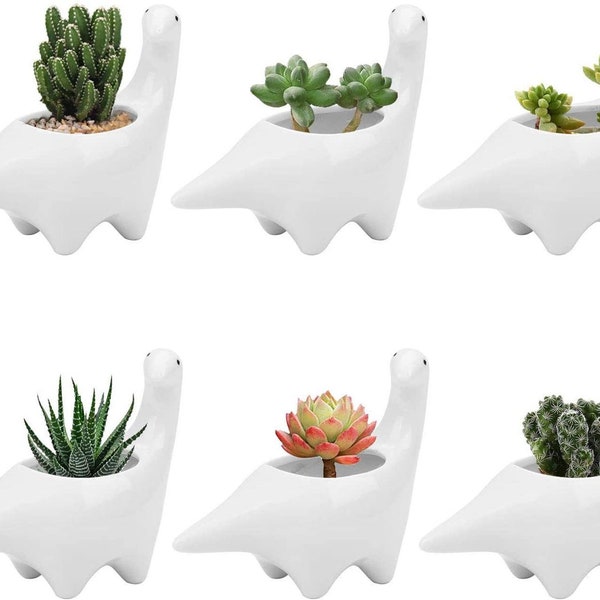 Dinosaur Plant Pot - Etsy