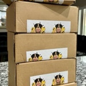 Dog Treats Biggie Box - Etsy