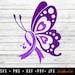 Lupus Awareness Svg, Lupus Fighter Svg, Lupus Warrior Svg, Lupus Purple ...