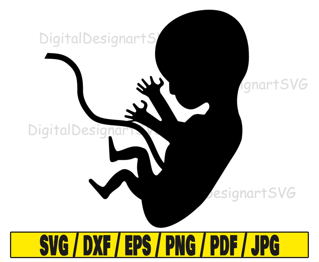 Baby Svg, Fetus Svg, Human Embryo Svg, Silhouette Svg, Svg Cut File ...