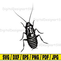 Cockroach - Etsy