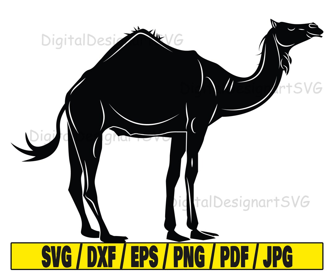 Camel Svg, Desert Camel Svg, Animal Svg, Oriental Svg, Middle East ...