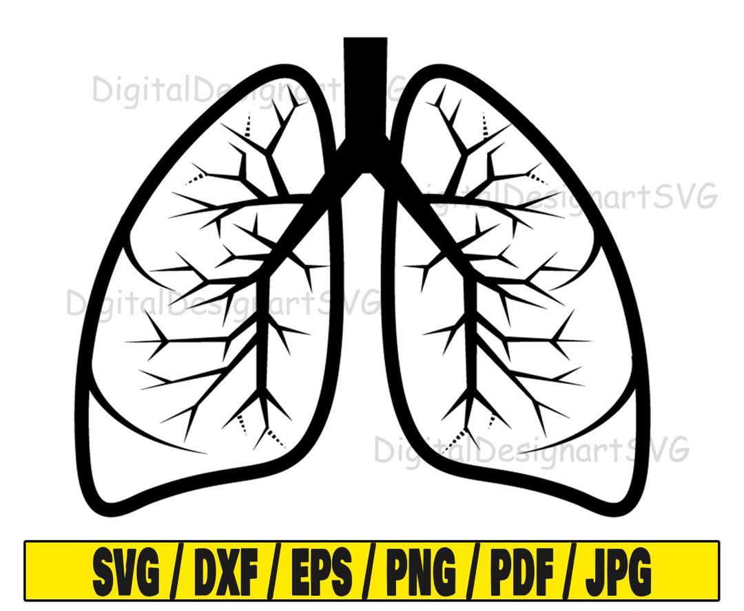 Lungs Svg, Human Organ Svg, Health Svg, Lungs Outline Svg, Lung Svg - Etsy