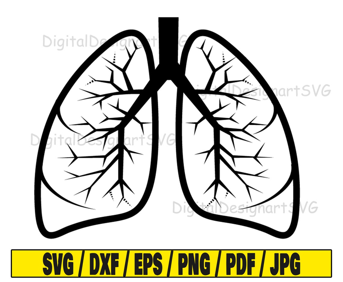 Lungs Svg, Human Organ Svg, Health Svg, Lungs Outline Svg, Lung Svg - Etsy