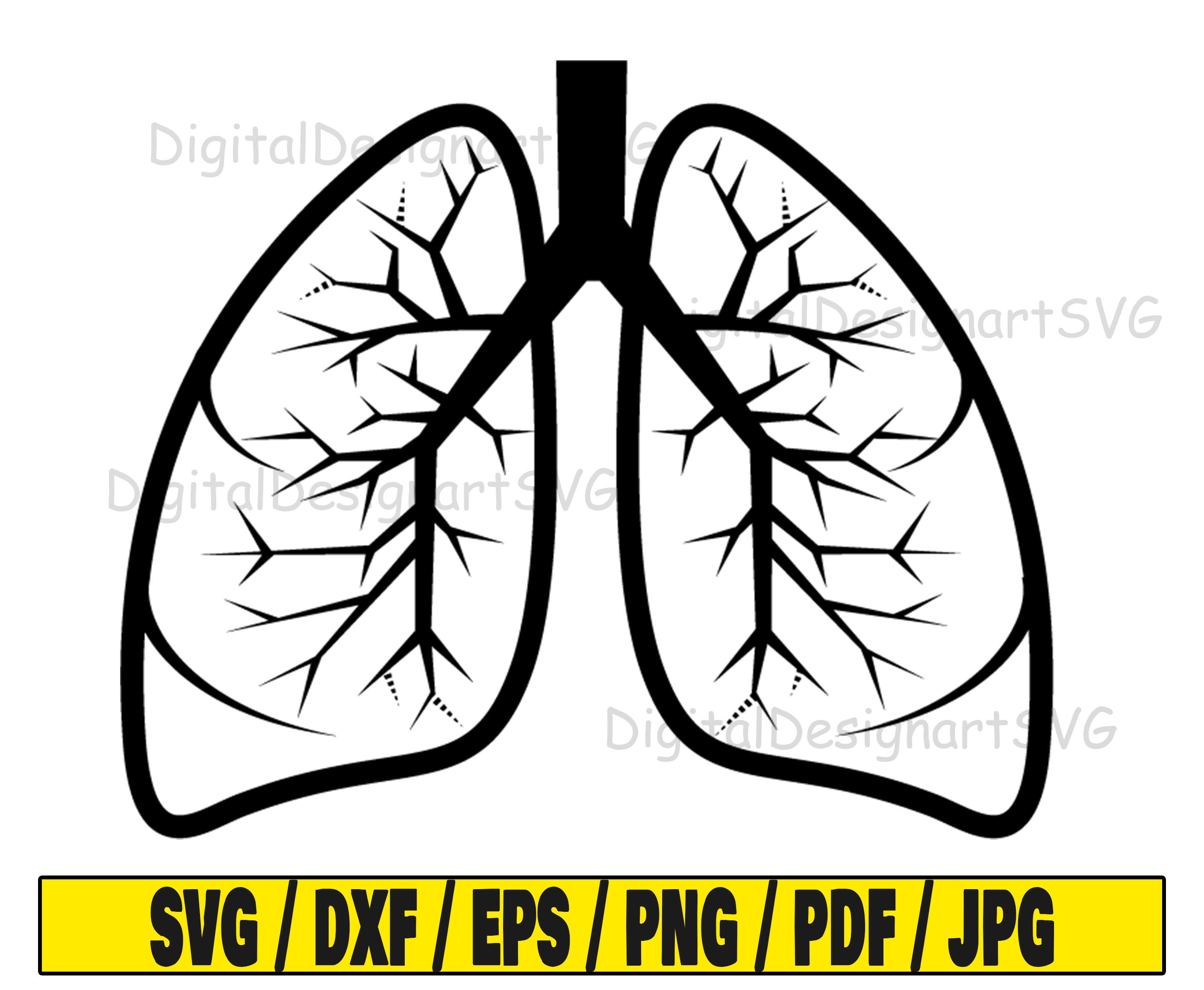 Lungs Svg, Human Organ Svg, Health Svg, Lungs Outline Svg, Lung Svg - Etsy