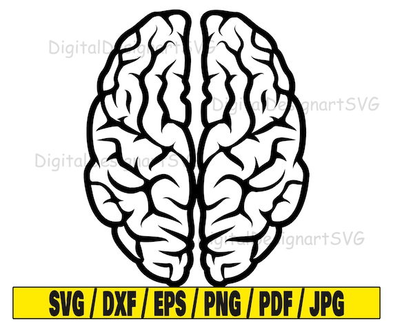 Brain Svg Human Brain Svg Cut File Human Clipart Svg Cut - Etsy