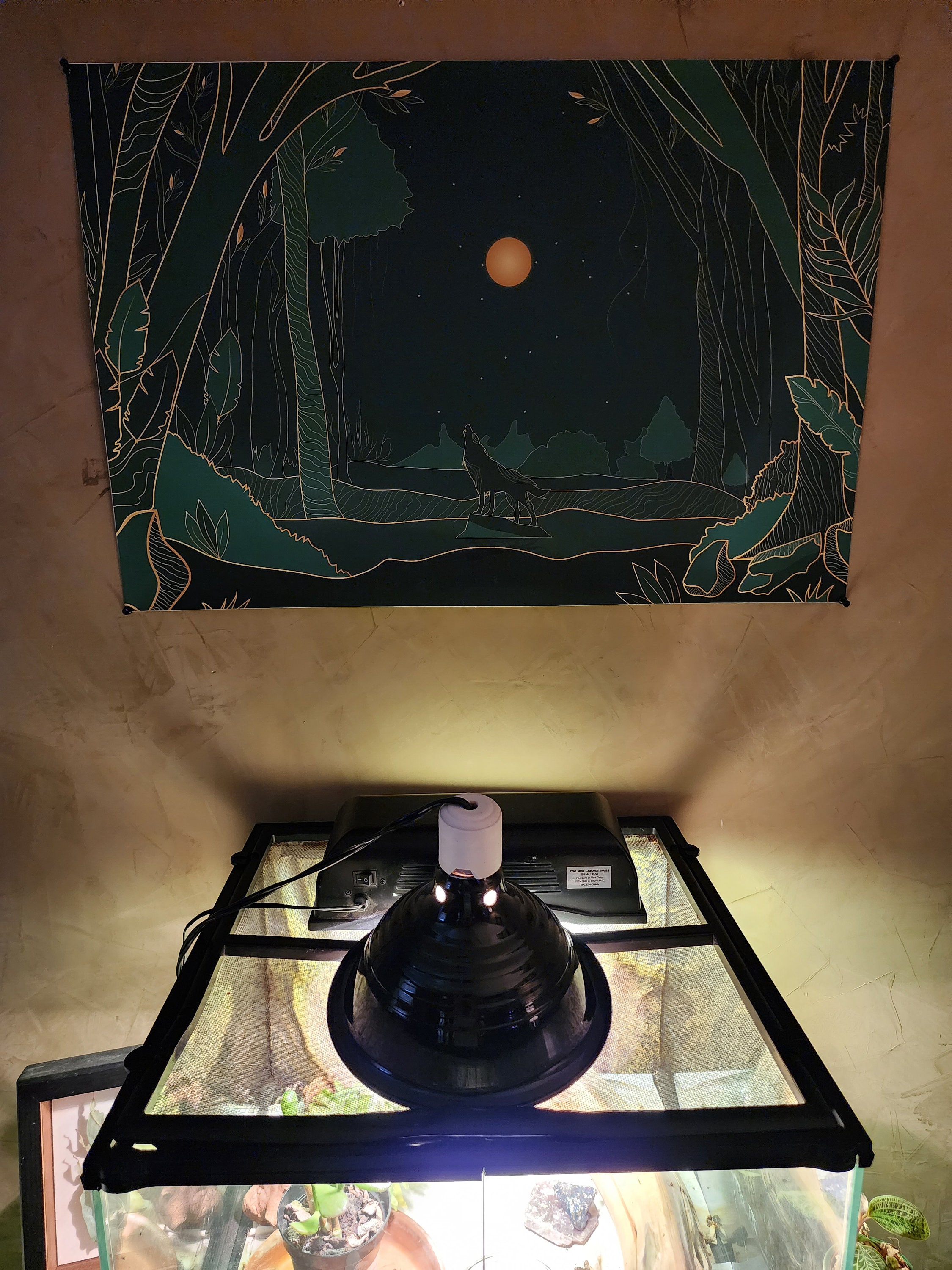 Spirit Wolf Poster - Etsy