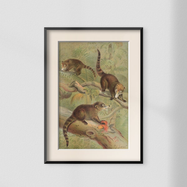 Antique Rainforest - Etsy