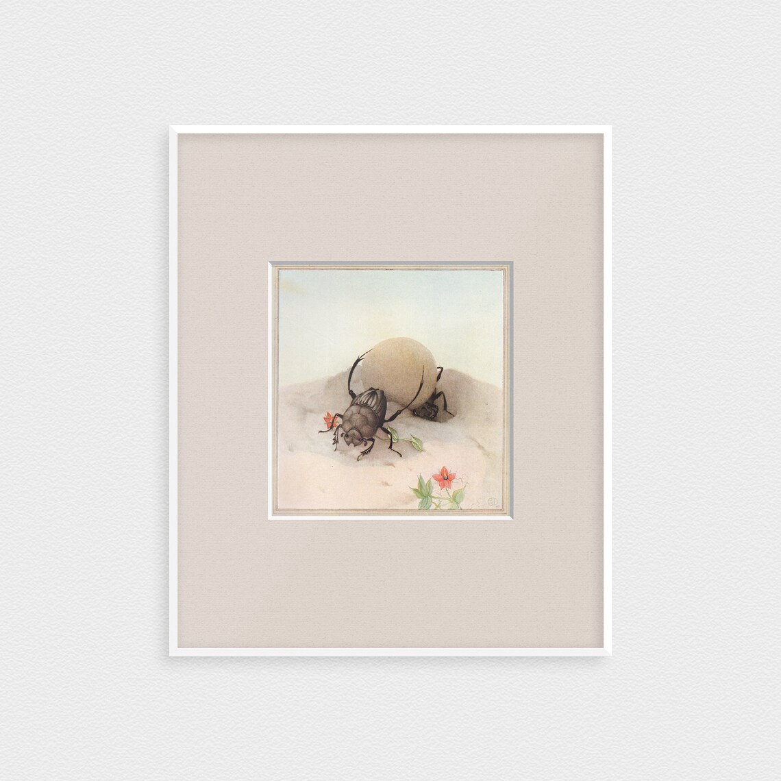 1935 sisyphus Dung Beetle Original Lithographic Print by E J Detmold ...