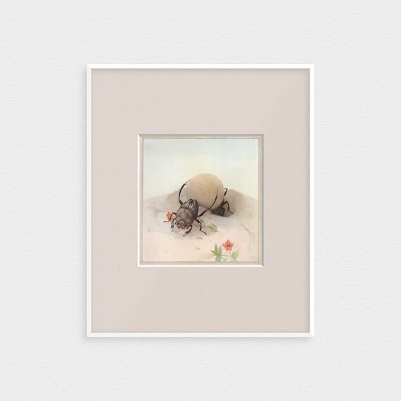 1935 sisyphus Dung Beetle Original Lithographic | Etsy