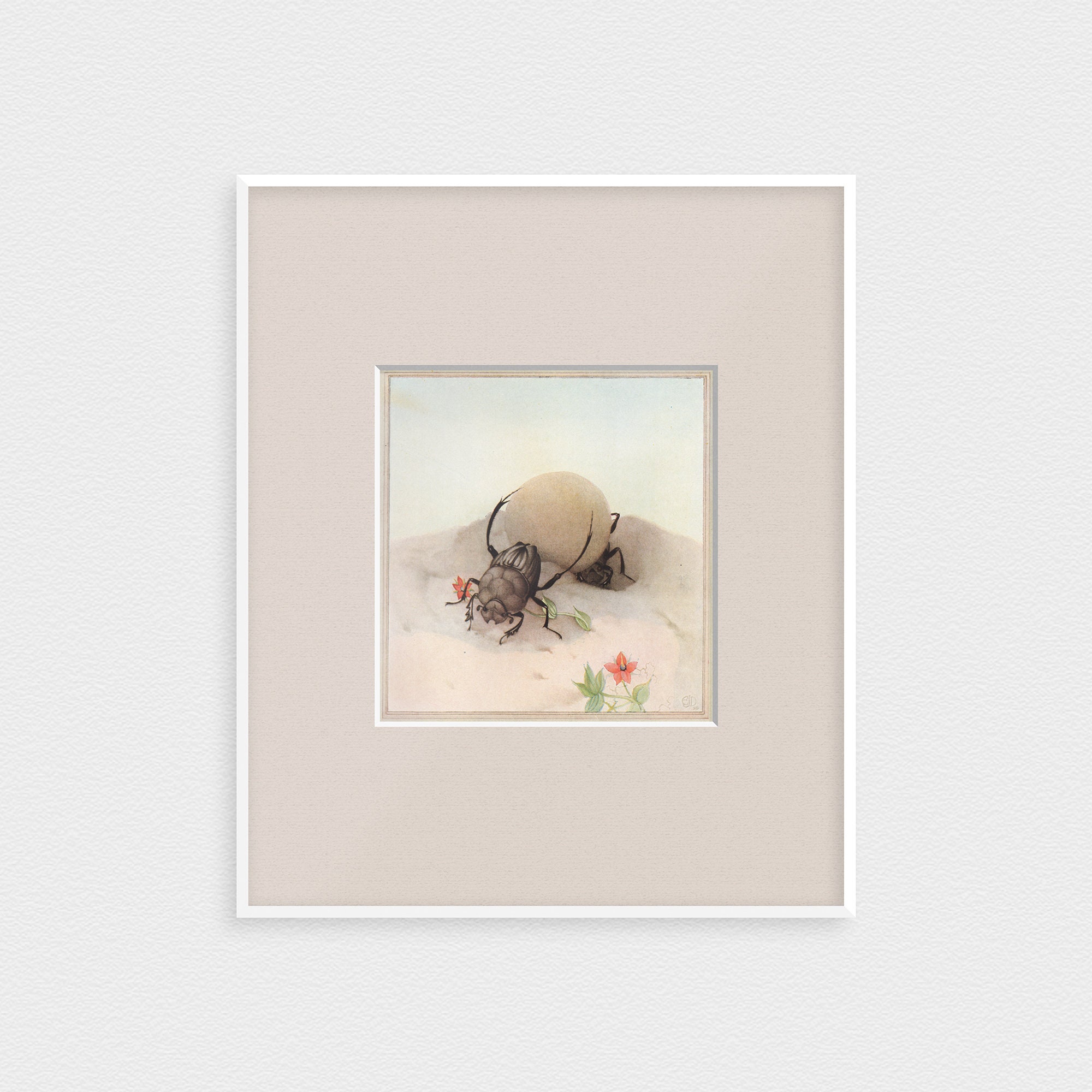 1935 sisyphus Dung Beetle Original Lithographic Print by E J Detmold ...