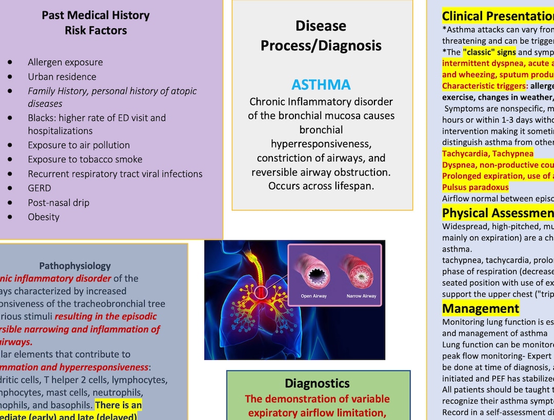 ASTHMA Concept Map and Study Guide - Etsy