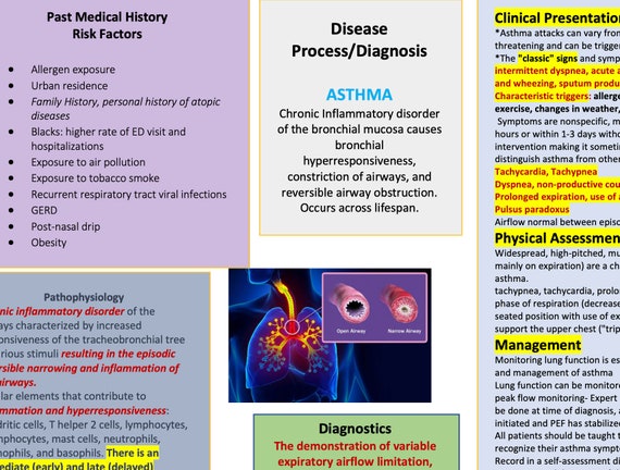 ASTHMA Concept Map and Study Guide - Etsy