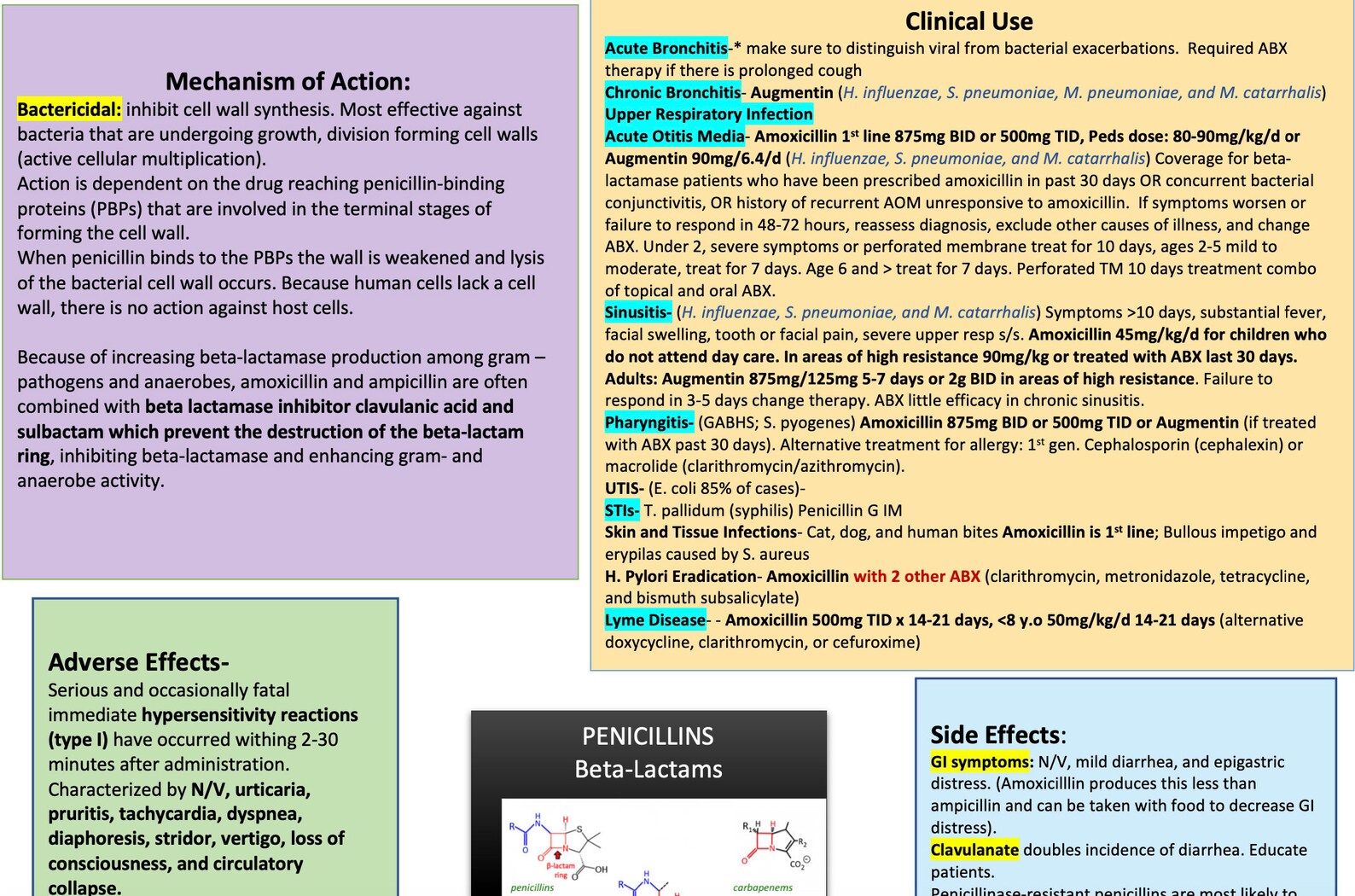 Penicillin Pharmacology Concept Map - Etsy Canada
