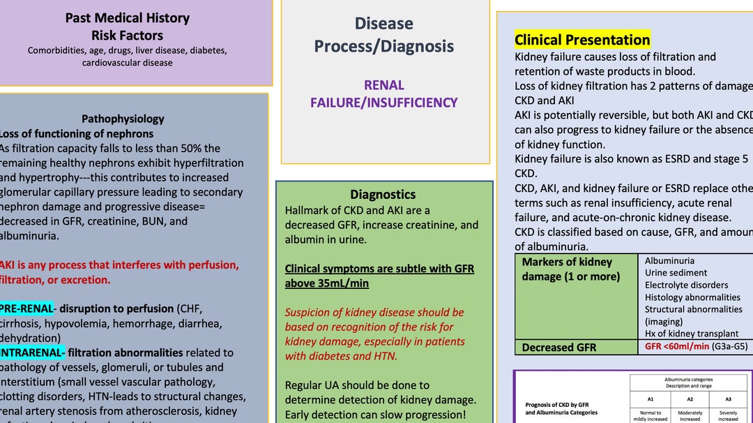 Acute Renal Failure Concept Map and Study Guide - Etsy Finland