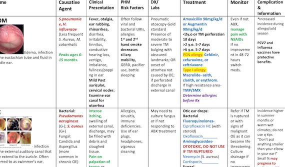 Common HEENT Quick Study Guide | Etsy
