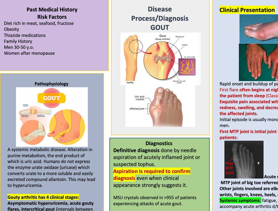 Gout Concept Map and Study Guide - Etsy Canada