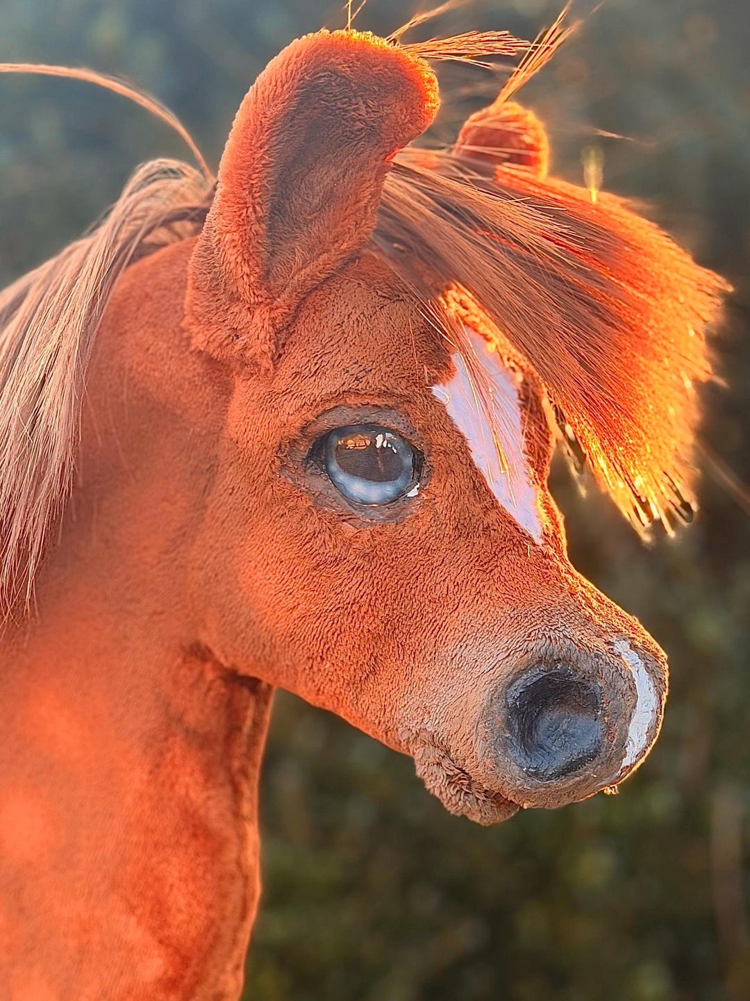 REALISTIC Premium Hobbyhorse | Stick Horse | Jumping Hobby Horse Pony ...