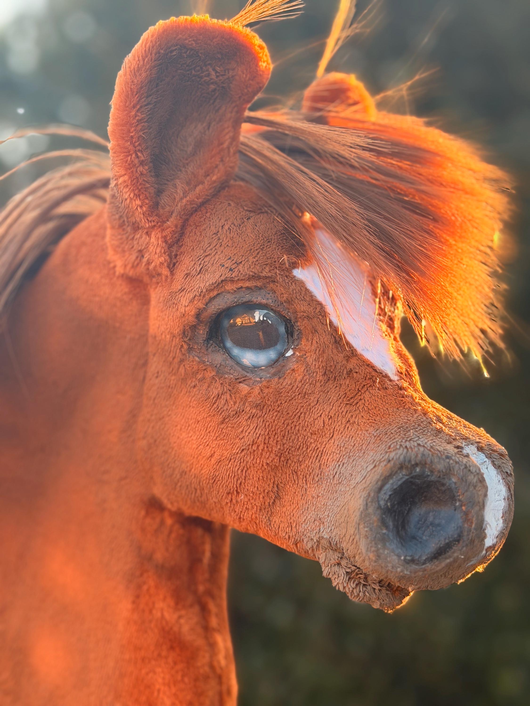 REALISTIC Premium Hobbyhorse | Stick Horse | Jumping Hobby Horse Pony ...
