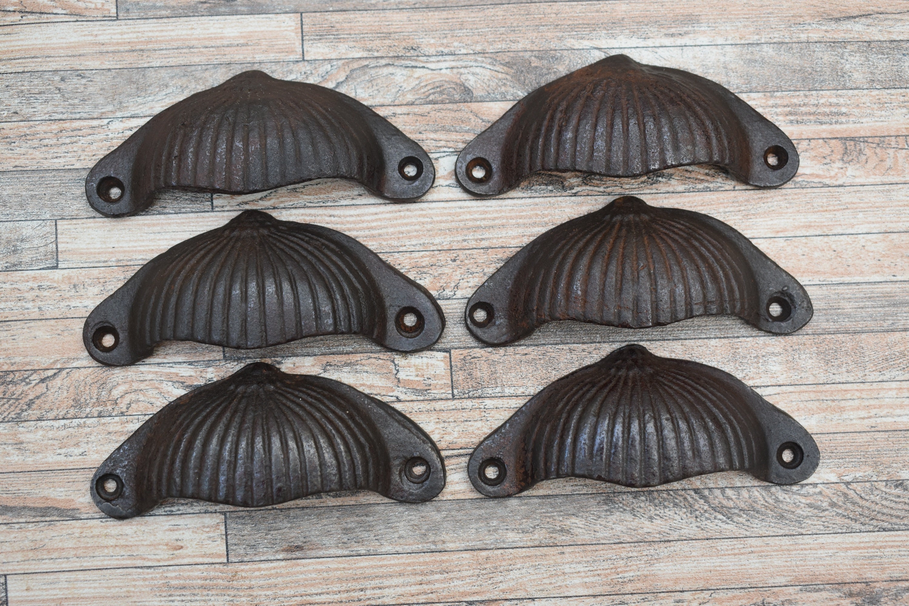 6x Vintage Style Cast Iron Seashell Shape Door Drawer Cupboard Cabinet ...