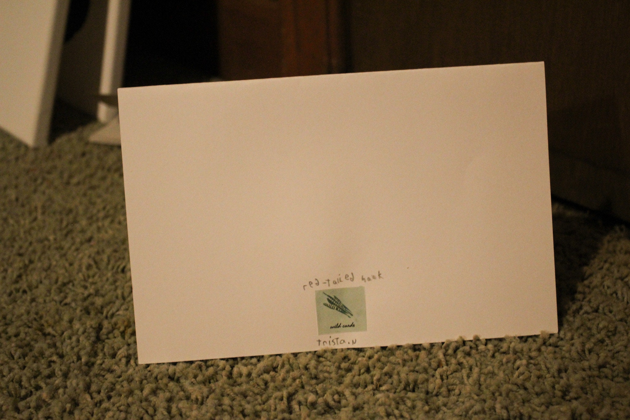 Blank Red-tailed Hawk Card - Etsy