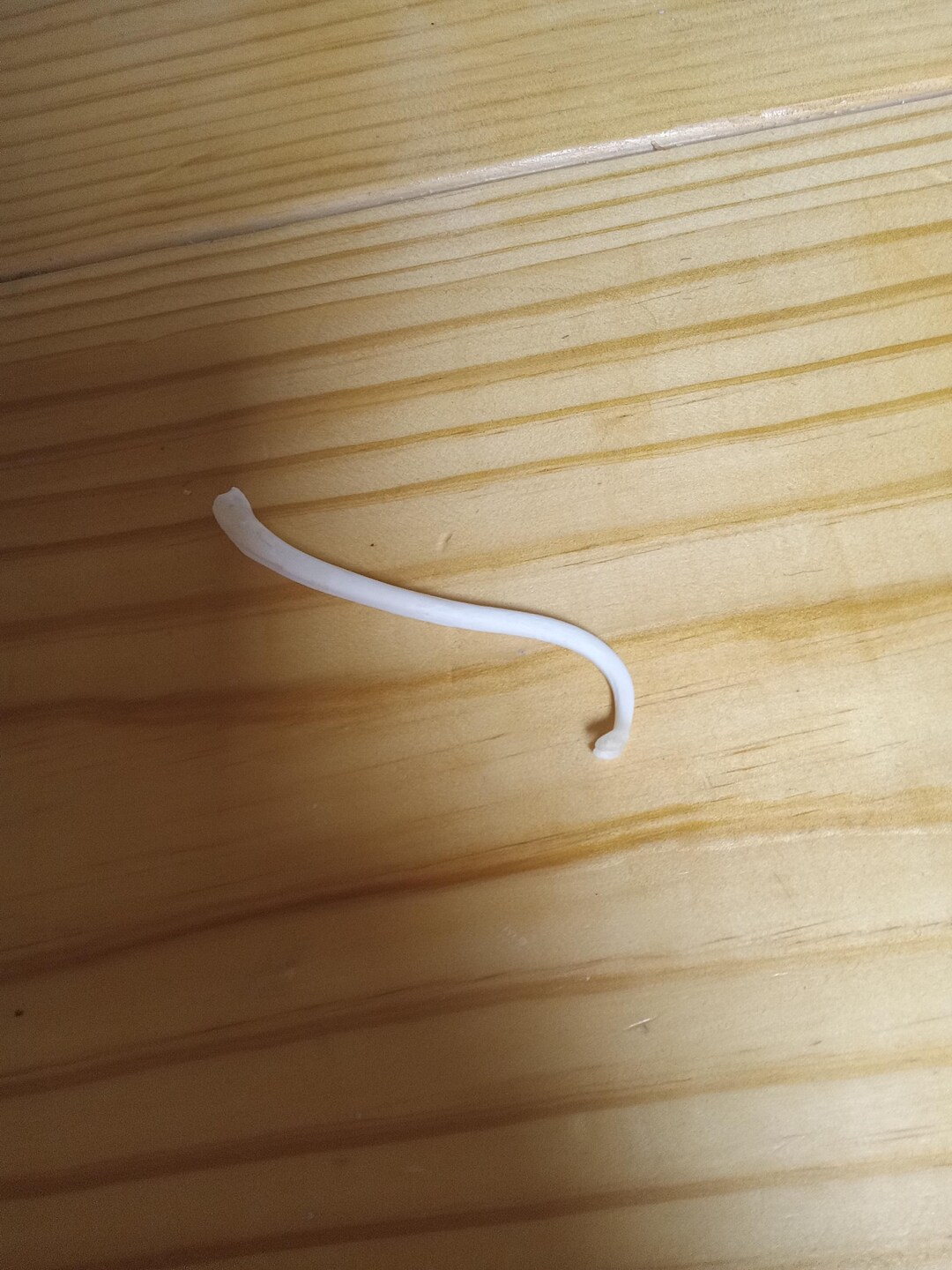 Raccoon Toothpick - Etsy