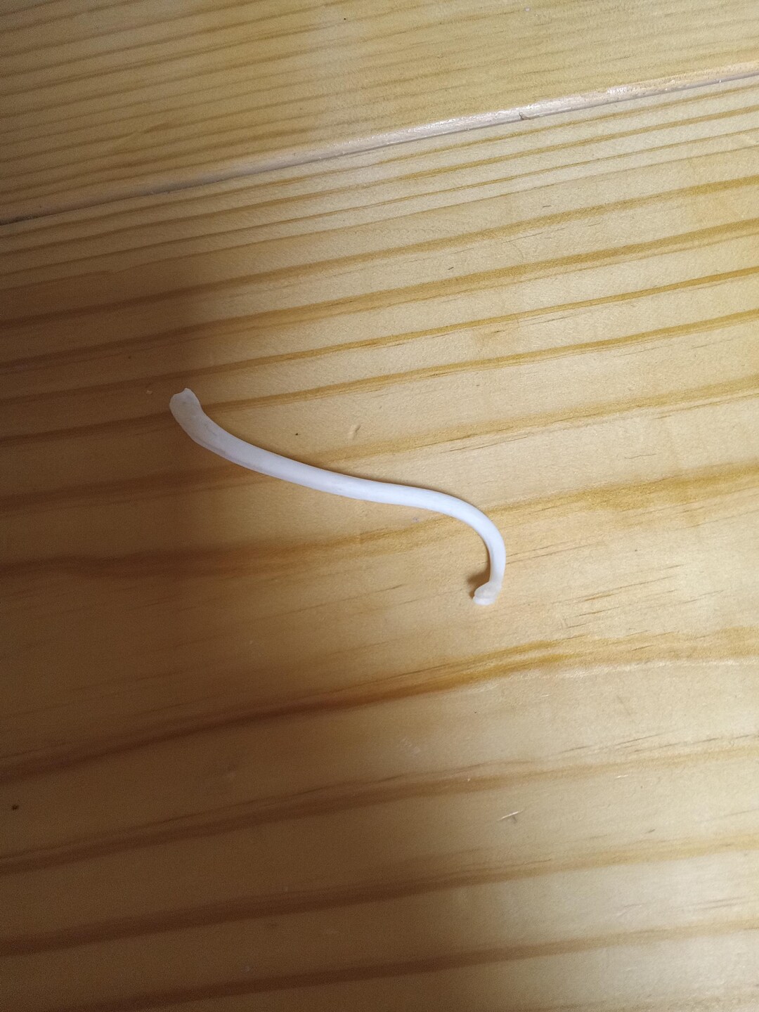 Raccoon Toothpick - Etsy