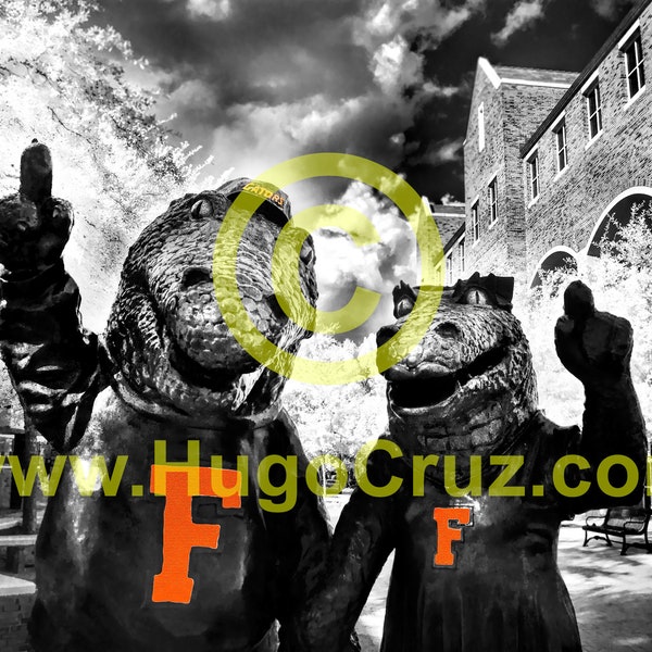Florida Gator Statue - Etsy