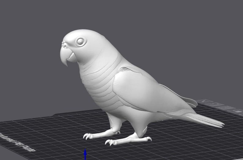 Realistic Puerto Rican Parrot STL File for 3D Printing - Paintable ...