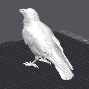 Realistic Raven 3D Model STL: Gothic Halloween Decor (digital Download ...