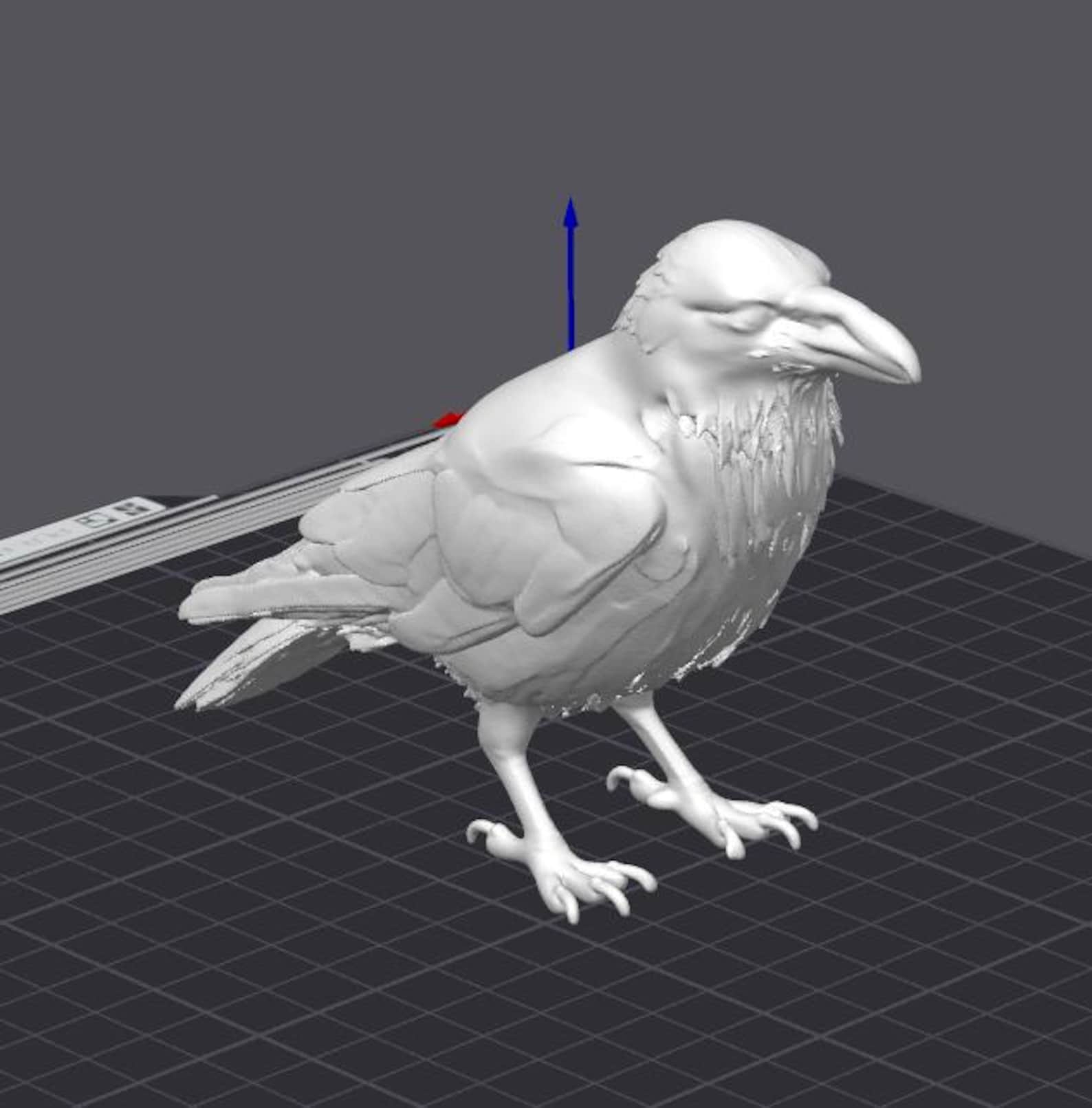 Realistic Raven 3D Model STL: Gothic Halloween Decor (digital Download ...