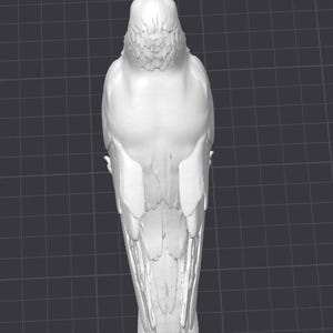 Realistic Raven 3D Model STL: Gothic Halloween Decor (digital Download ...