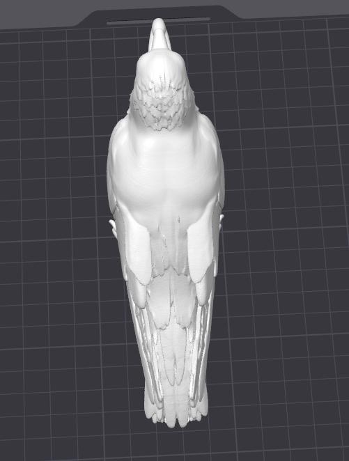 Realistic Raven 3D Model STL: Gothic Halloween Decor (digital Download ...