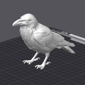 Realistic Raven 3D Model STL: Gothic Halloween Decor (digital Download ...