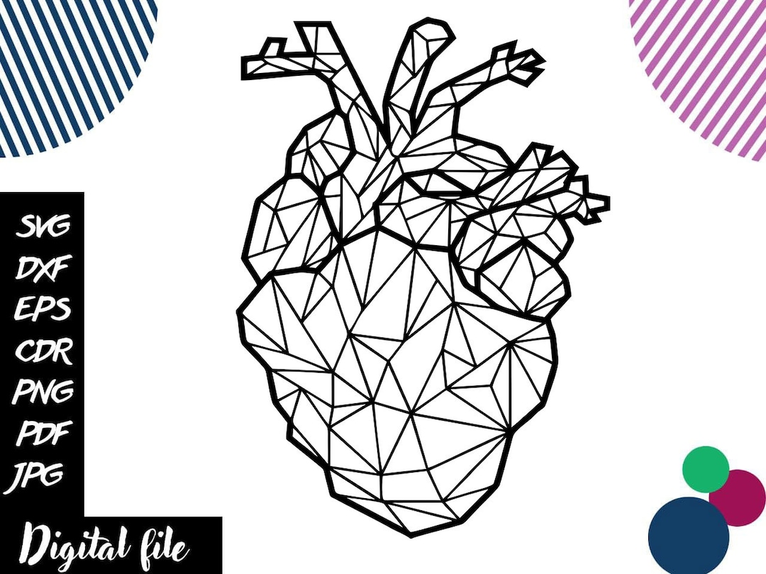 Geometric Heart SVG / Anatomy Heart Vector / Human Heart - Etsy