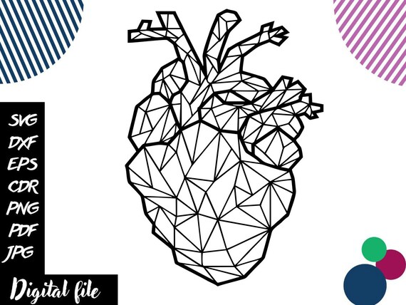 Geometric Heart SVG / Anatomy Heart Vector / Human Heart | Etsy